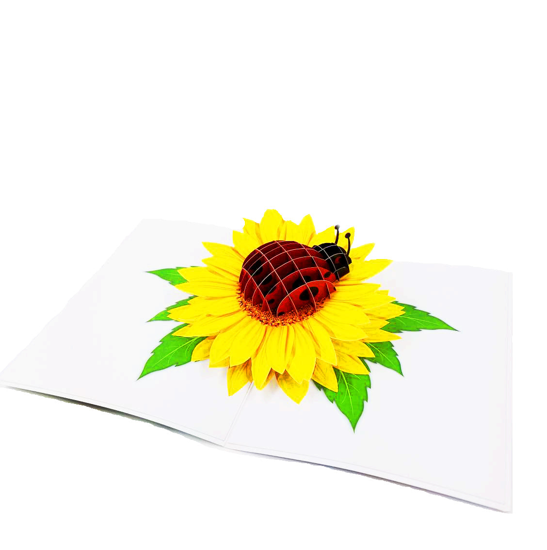 Ladybug Pop Up Card | Pop Card Express